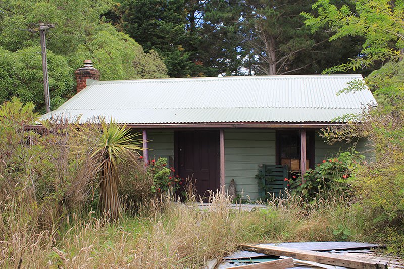 Octavius Francis Harwood – A Journey of Family Discovery